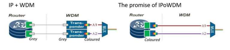 The Enduring Value of IP + Optical