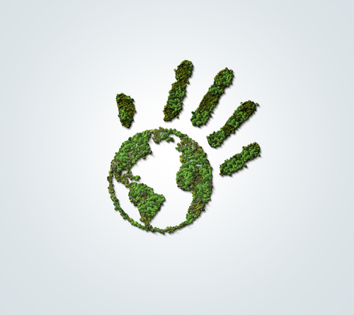 NCIe to Meet You: Introducing the Network Carbon Intensity Energy Indicator