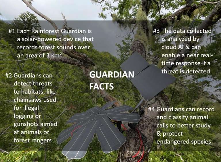 Safeguarding Biodiversity: Be Part of the Solution